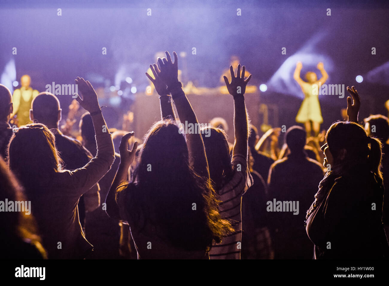 crowd at concert - summer music festival Stock Photo - Alamy