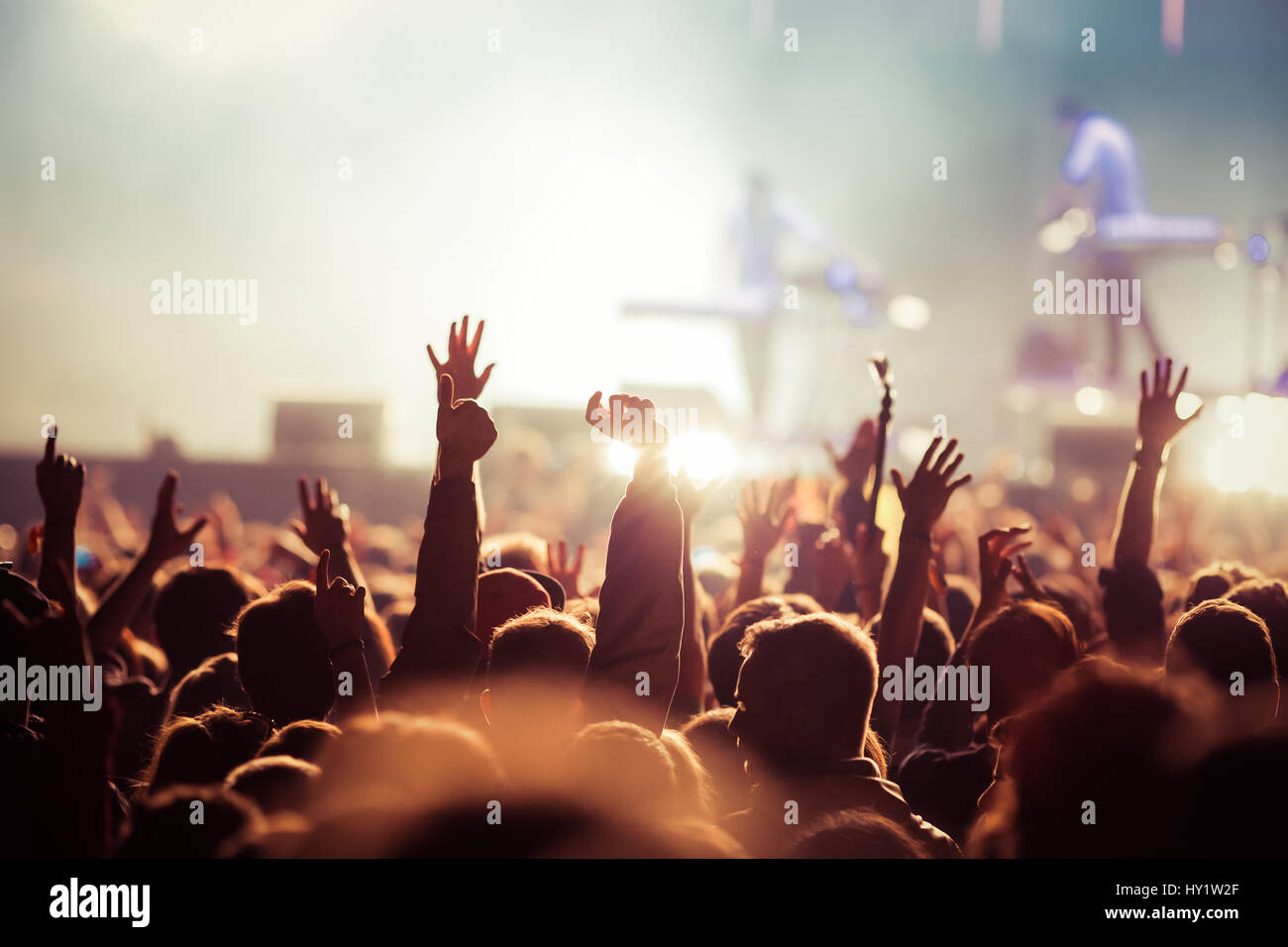 crowd at concert - summer music festival Stock Photo - Alamy