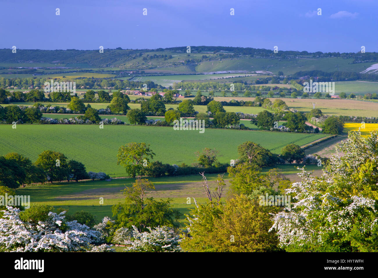 Dagnall village hi-res stock photography and images - Alamy