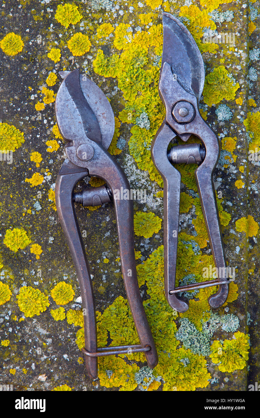 Old fashioned garden tools hi-res stock photography and images - Alamy