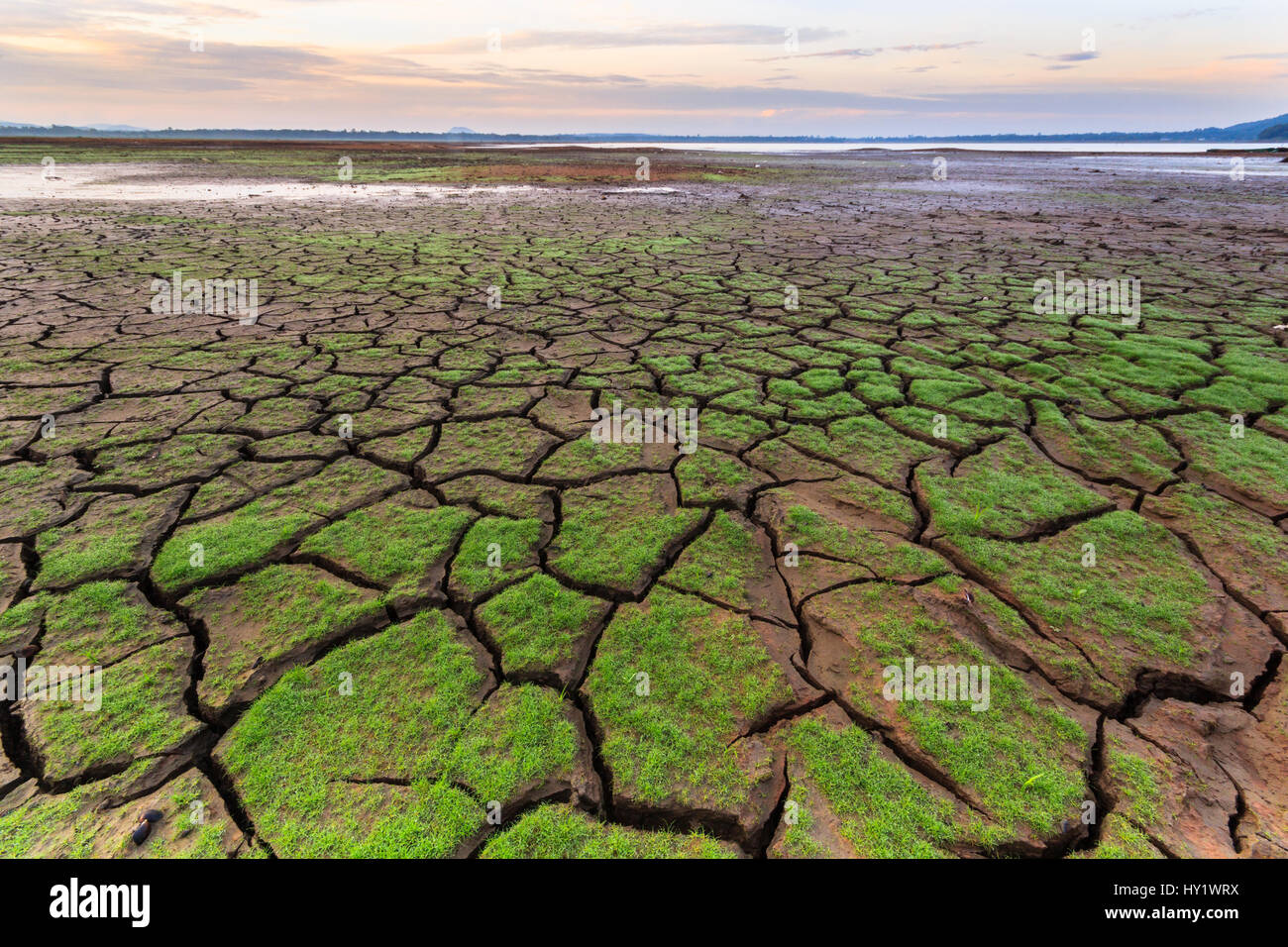 Lack of water in reservoir fields after no rain for a long time Stock ...