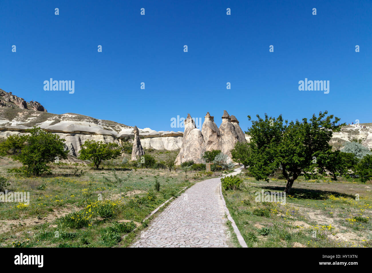 View of famous sandy fairy chimneys in Pasabagi Monks Valley ...