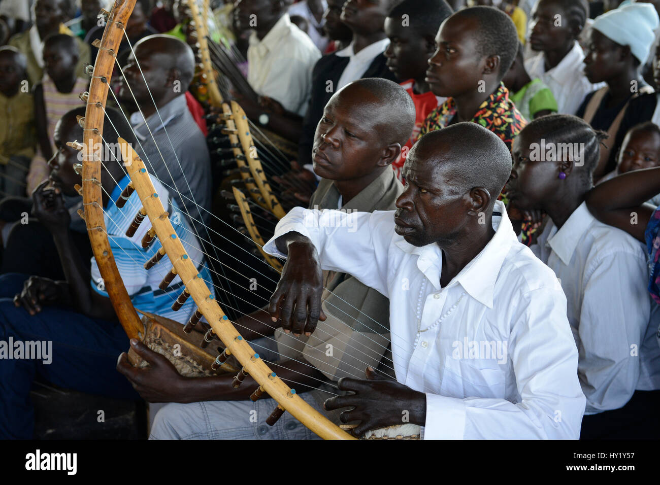 Zither instrument hi-res stock photography and images - Alamy