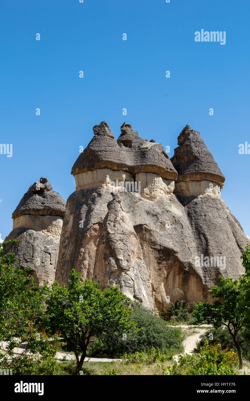 View of famous sandy fairy chimneys in Pasabagi Monks Valley ...