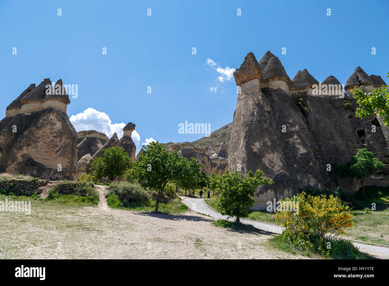 View of famous sandy fairy chimneys in Pasabagi Monks Valley ...