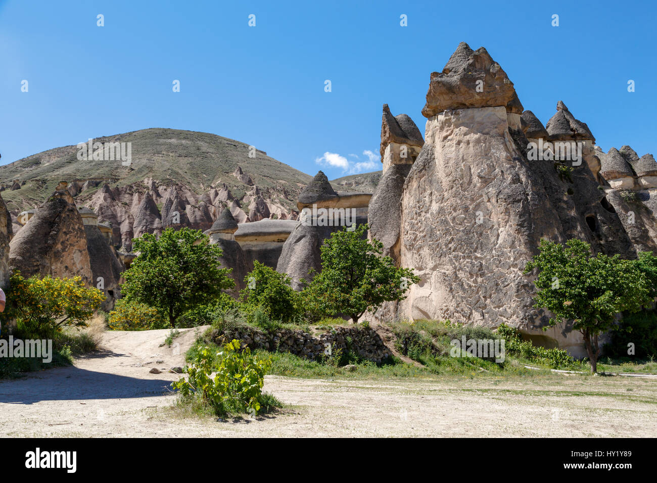 View of famous sandy fairy chimneys in Pasabagi Monks Valley ...