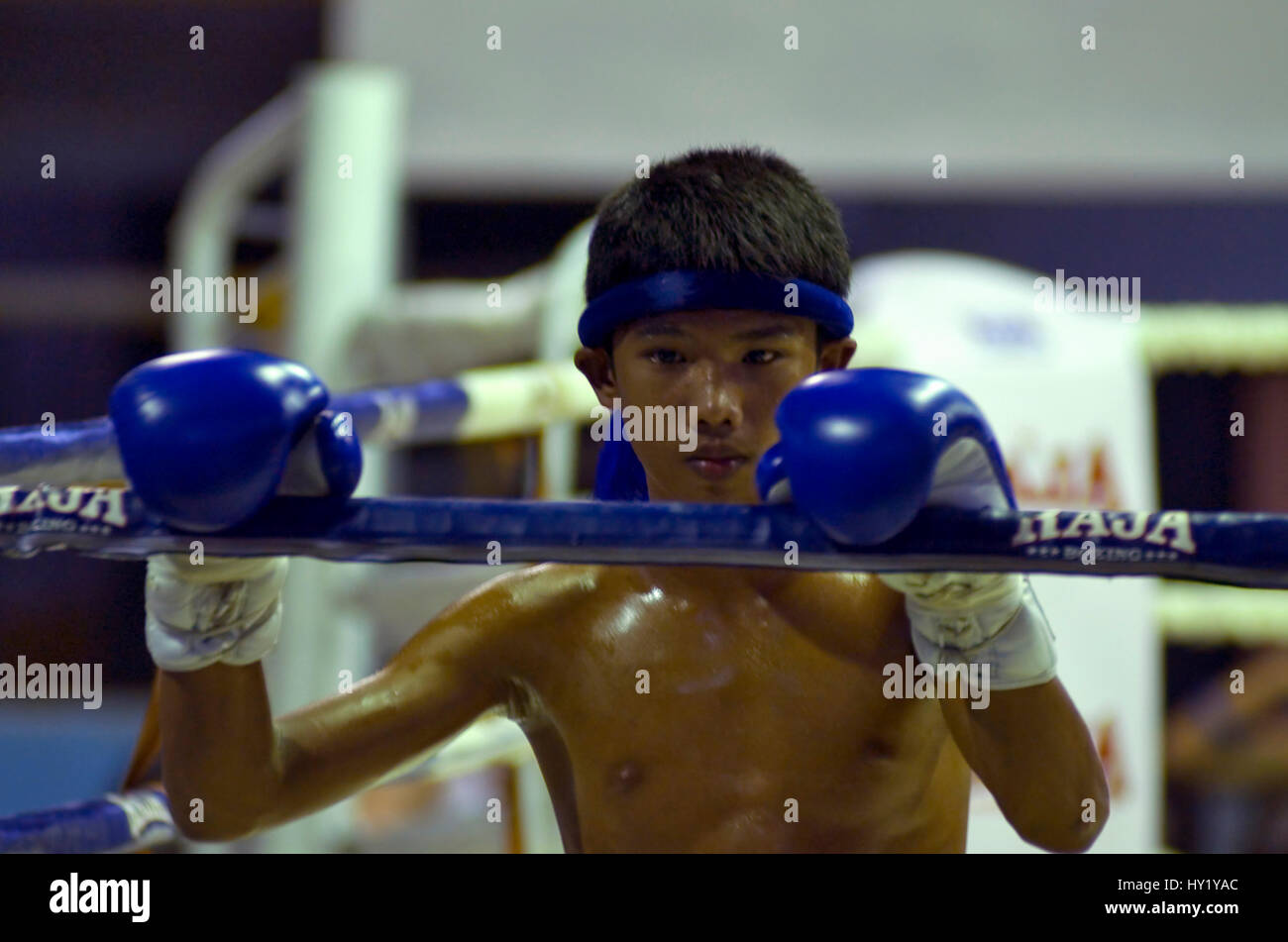 This Stock Photo shows a portrait of a very young MuayThai Boxer ...