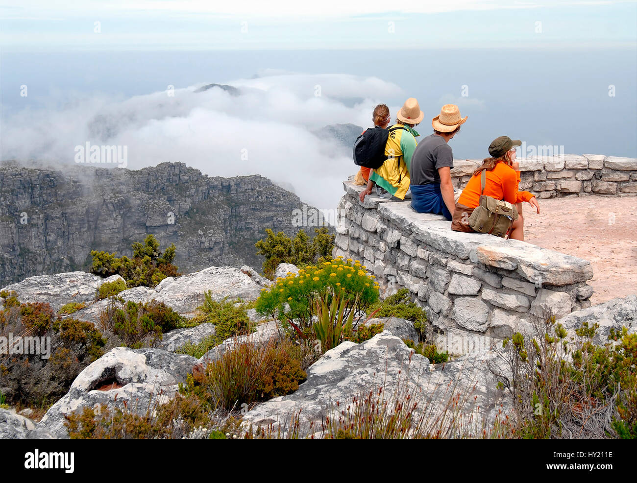 Image of tourists enjoying the scenic view along the famous Table ...