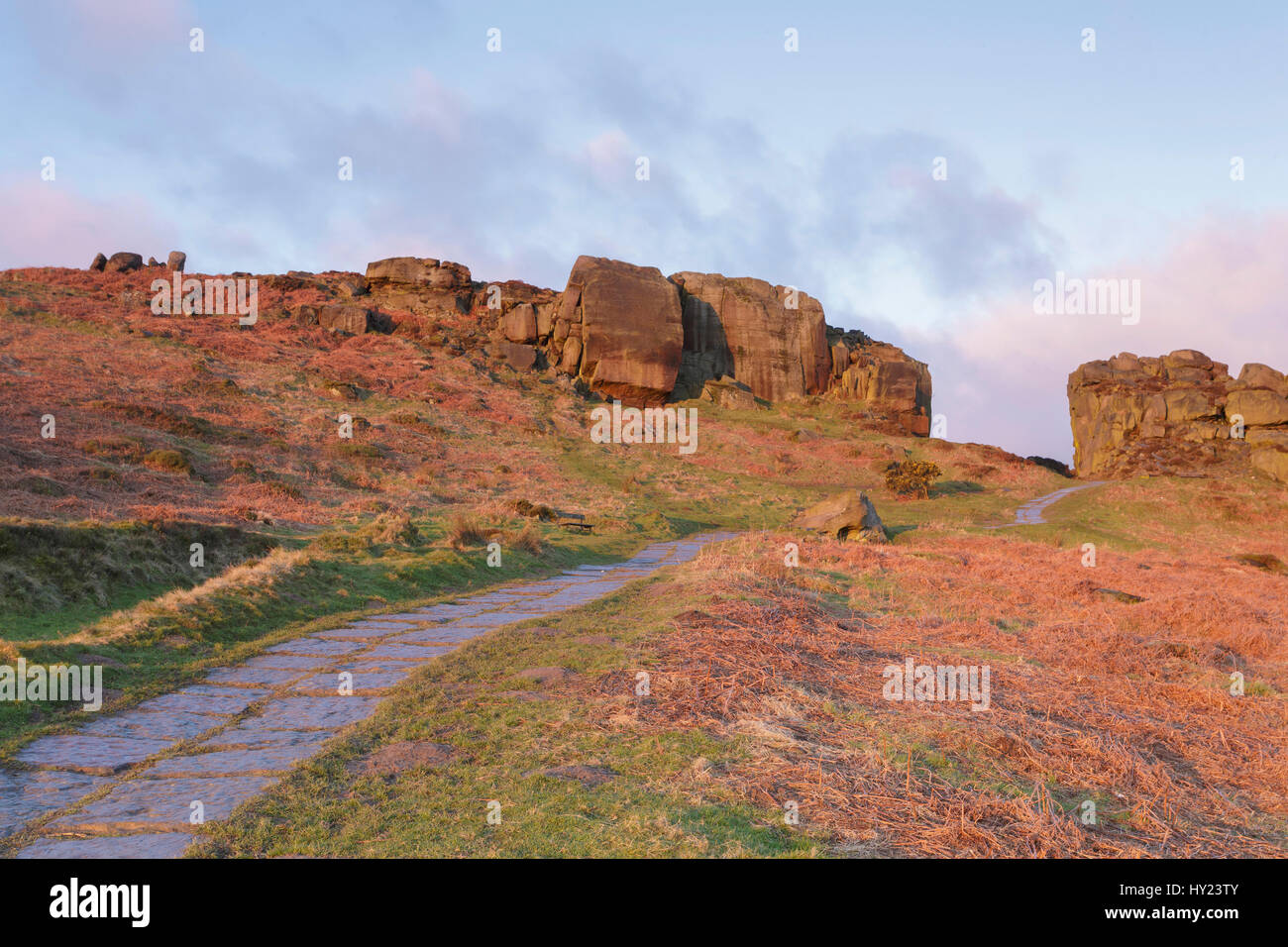 View of stone path, bracken and rocks on moorland habitat, Cow and Calf ...