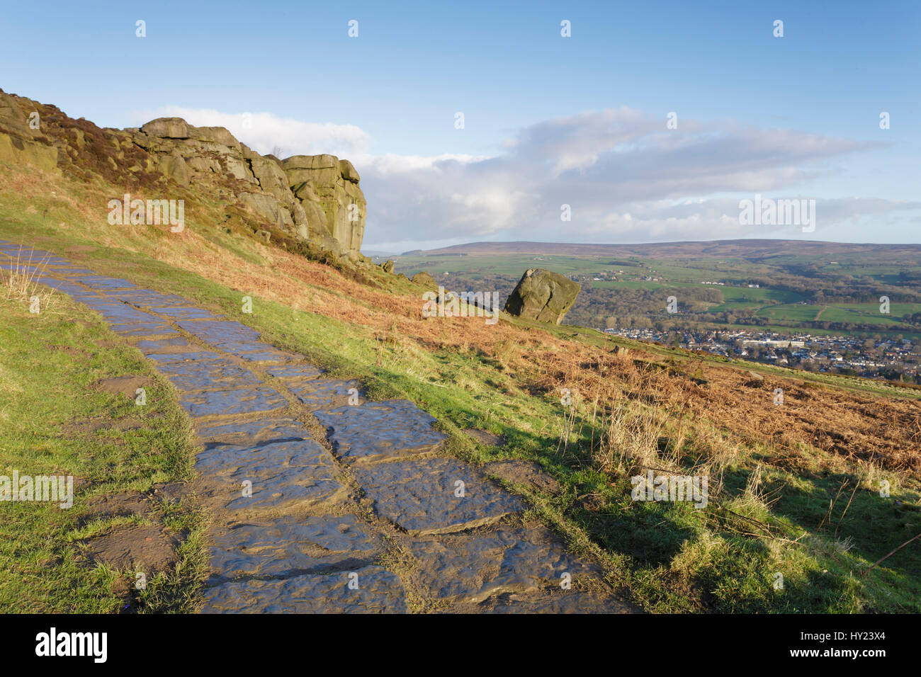 View of stone path, bracken and rocks on moorland habitat, Cow and Calf ...