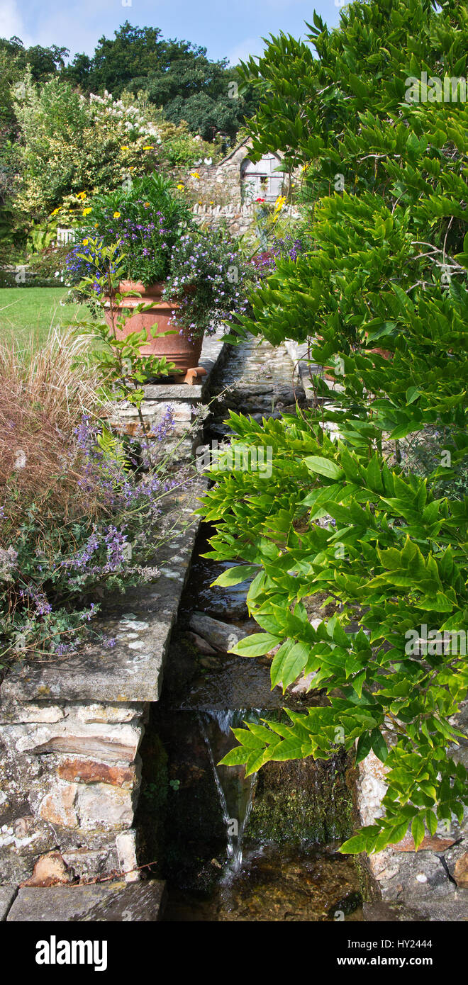 Picture taken in the Millenium Garden at Burrow Farm Gardens, also ...