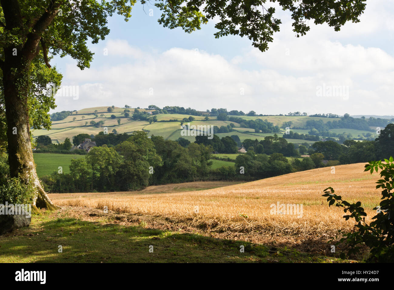 The view across the open countryside from Burrow Farm Gardens, also ...