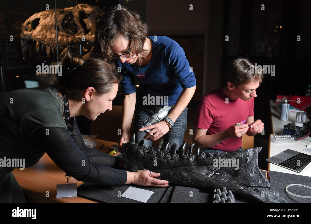 Palaeontologist hi-res stock photography and images - Alamy