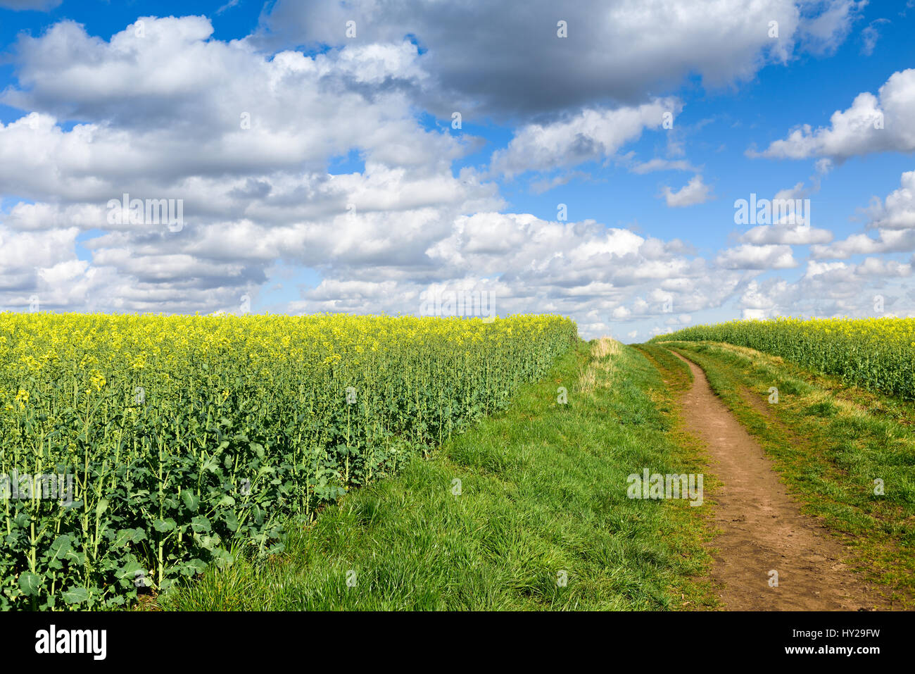 Misk hills hucknall nottinghamshire uk hi-res stock photography and ...