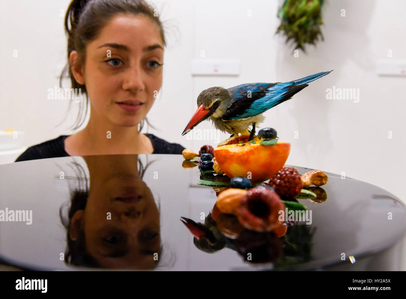 London, UK. 31st Mar, 2017. Taxidermy artist Elle Kaye views her work ...