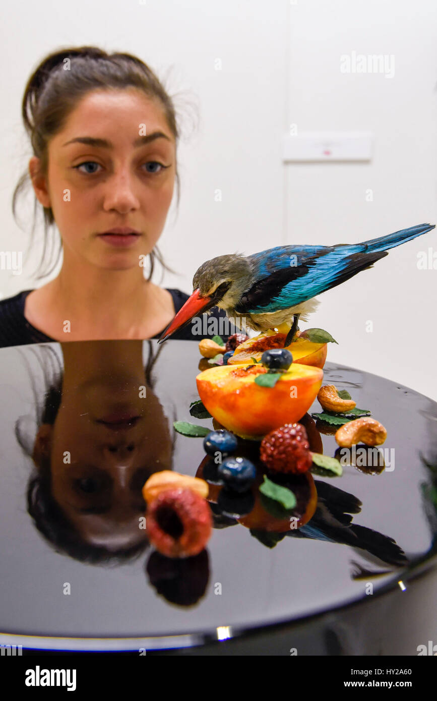 London, UK. 31st Mar, 2017. Taxidermy artist Elle Kaye views her work ...
