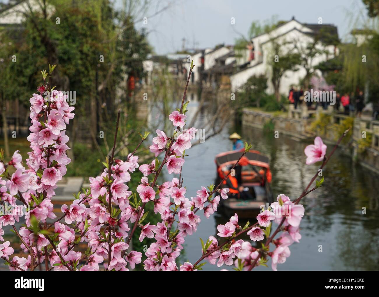Wuxi. 31st Mar, 2017. Photo taken on March 31, 2017 shows the spring ...