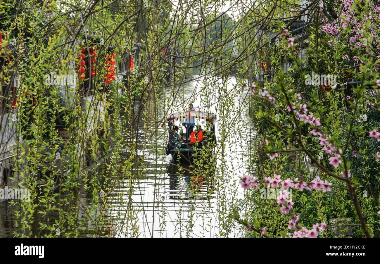 Wuxi. 31st Mar, 2017. Photo taken on March 31, 2017 shows the spring ...