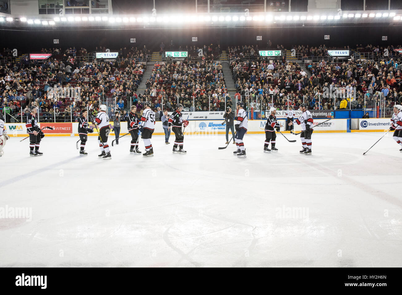 Ottawa, Canada. 31st Mar, 2017. Rockstars take on NHL alumni in the ...