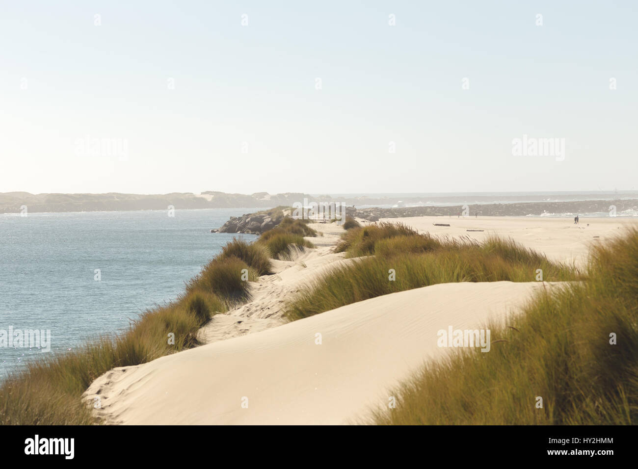 Empty sand trail in along the ocean. Sandy beach trail with grass ...
