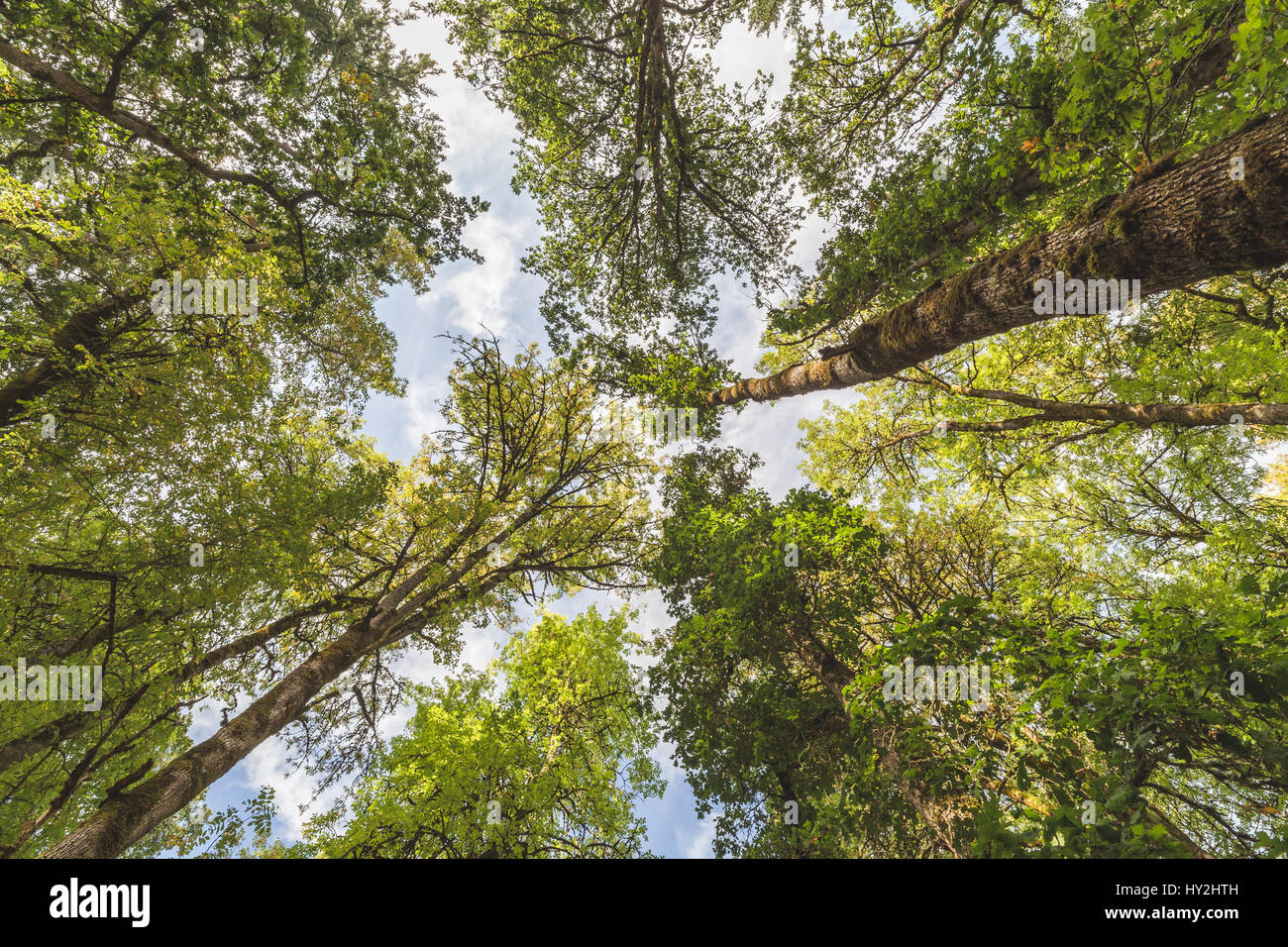 Tall mature hi-res stock photography and images - Alamy
