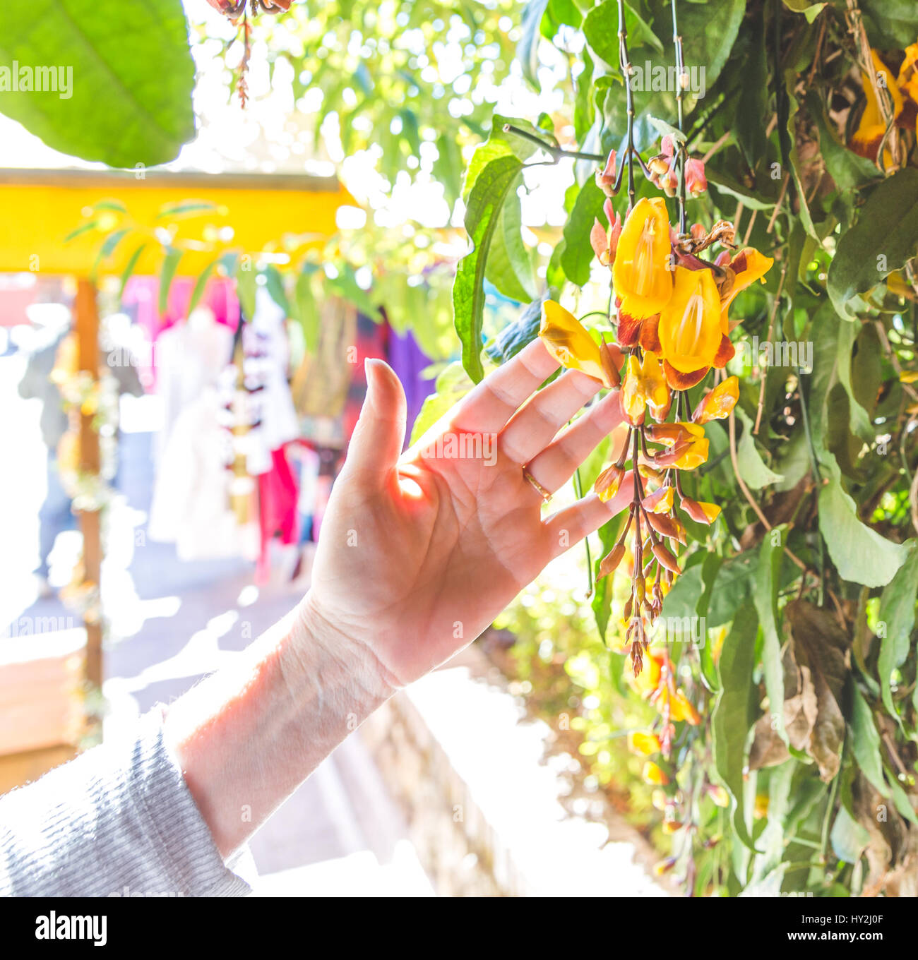Beautiful woman in guatemala hi-res stock photography and images - Alamy