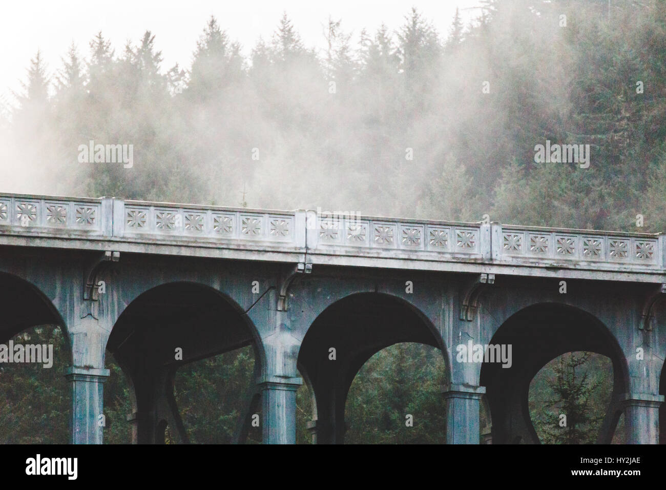 Gothic bridge in misty, rainy weather on the Oregon Coast Stock Photo ...