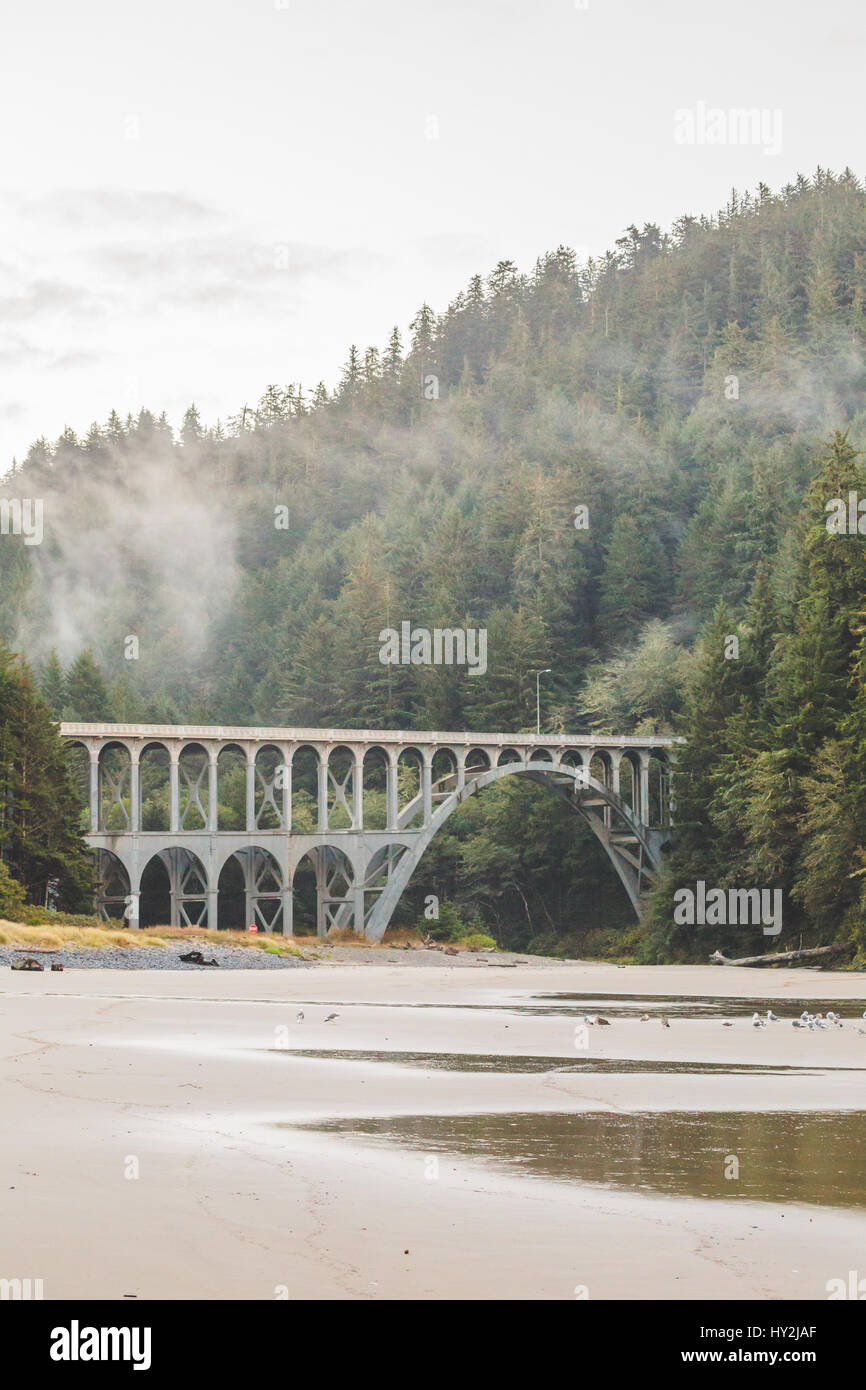 Oregon coast scenic railroad hi-res stock photography and images - Alamy