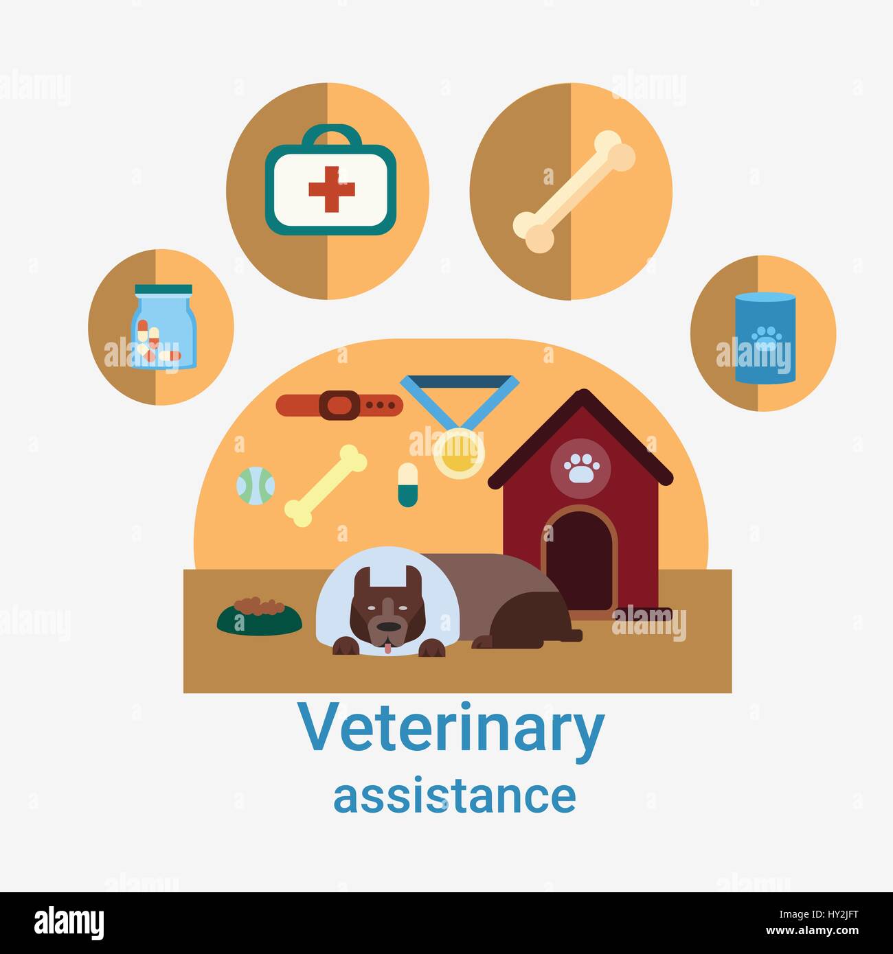 Veterinarian Stock Vector Images - Alamy