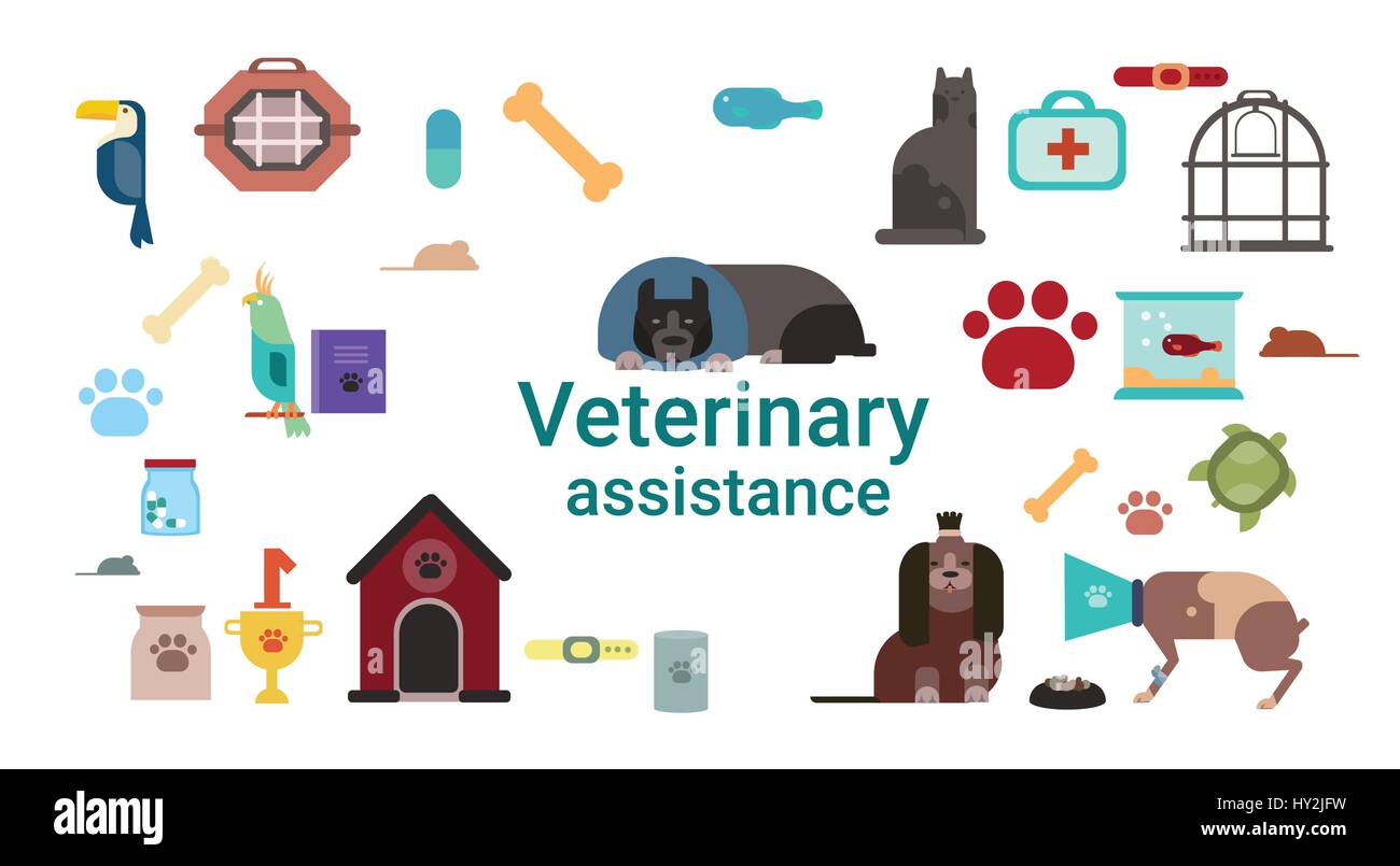 Veterinary assistance Stock Vector Images - Alamy