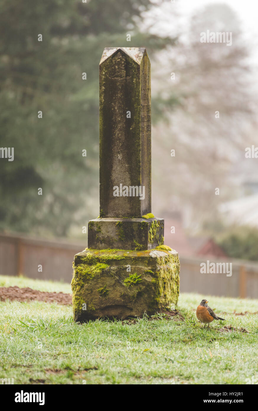 Empty grave stone hi-res stock photography and images - Alamy