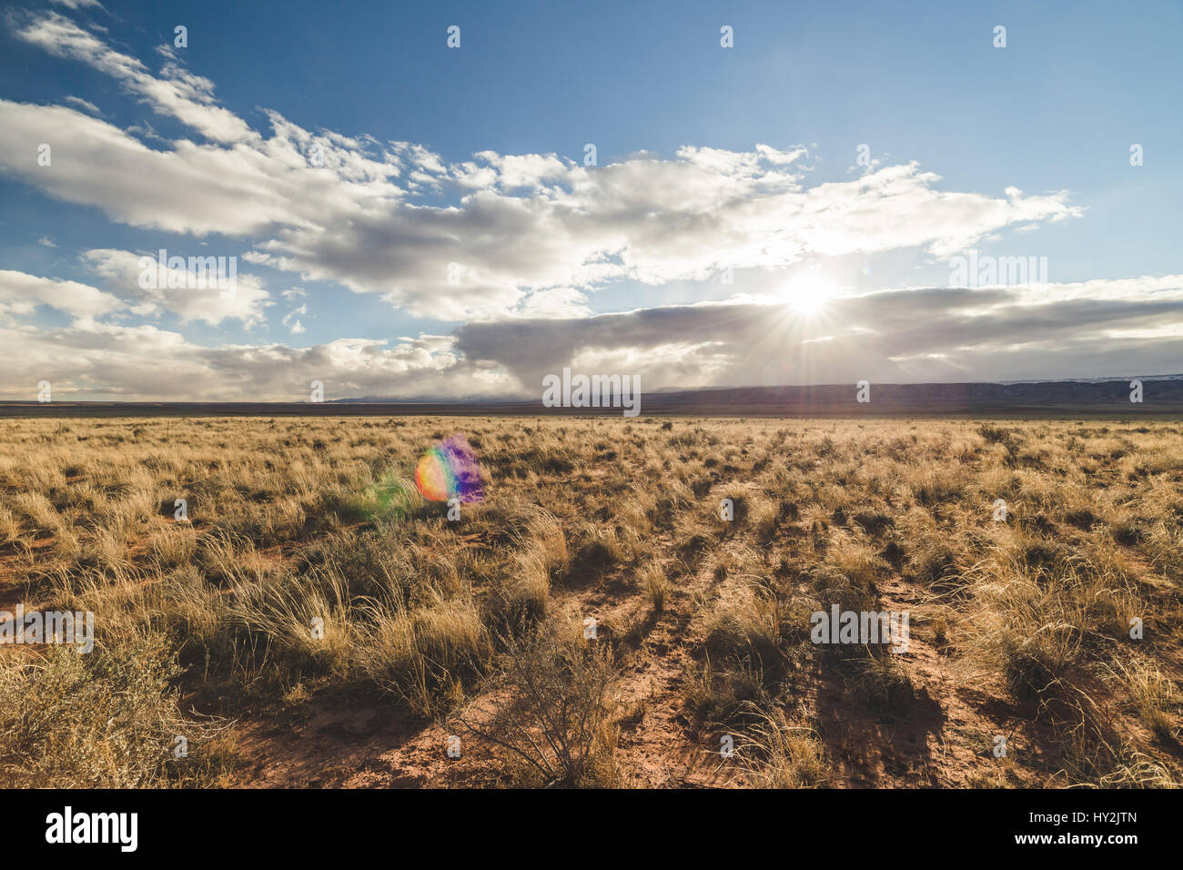 Remote desert landscape in northern Arizona, USA Stock Photo - Alamy