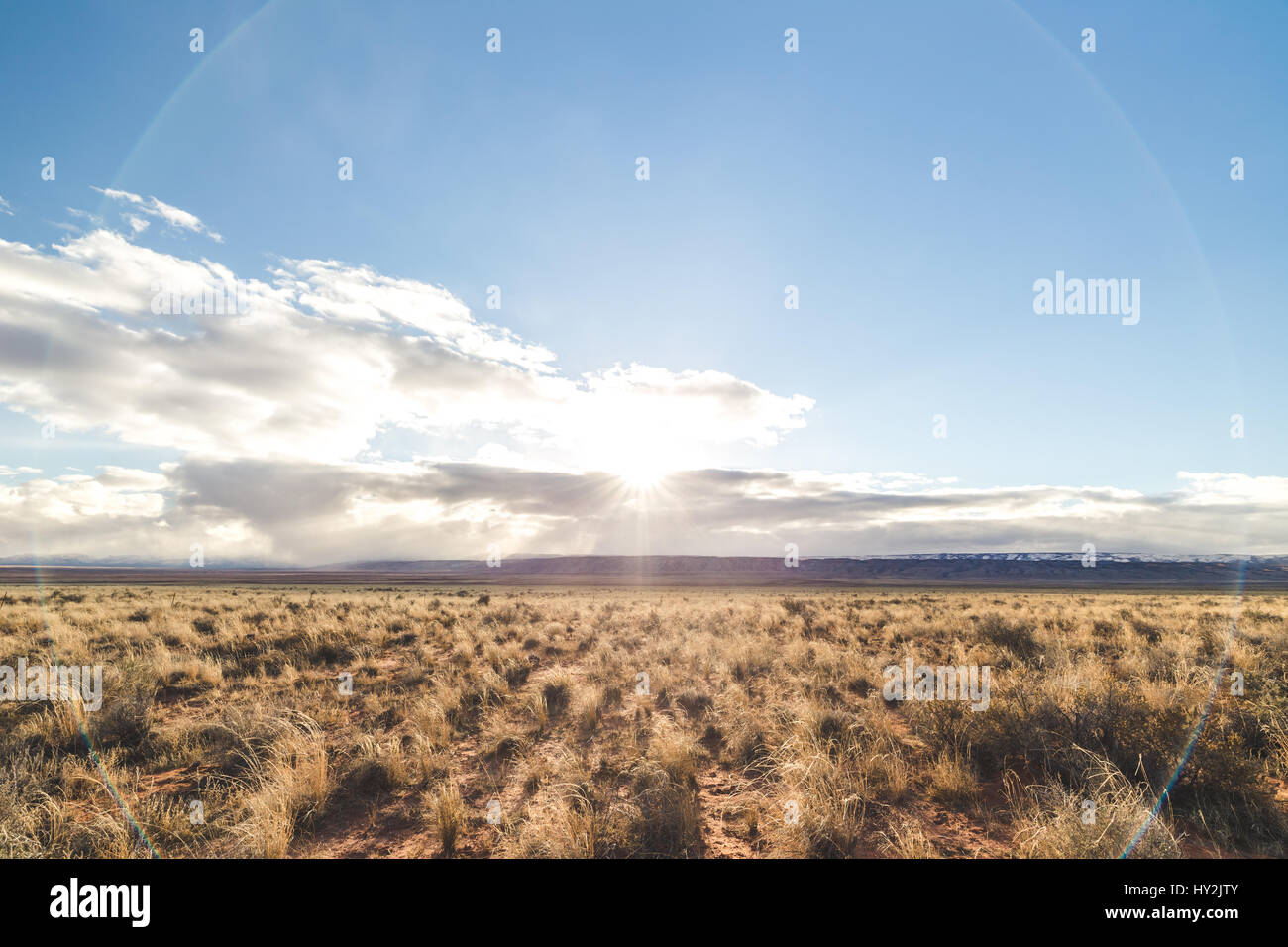 Remote desert landscape in northern Arizona, USA Stock Photo - Alamy