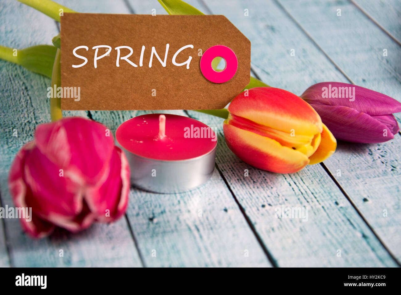 Spring background with tulips Stock Photo - Alamy