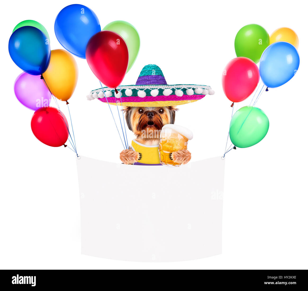 Balloons glass dog hi-res stock photography and images - Alamy