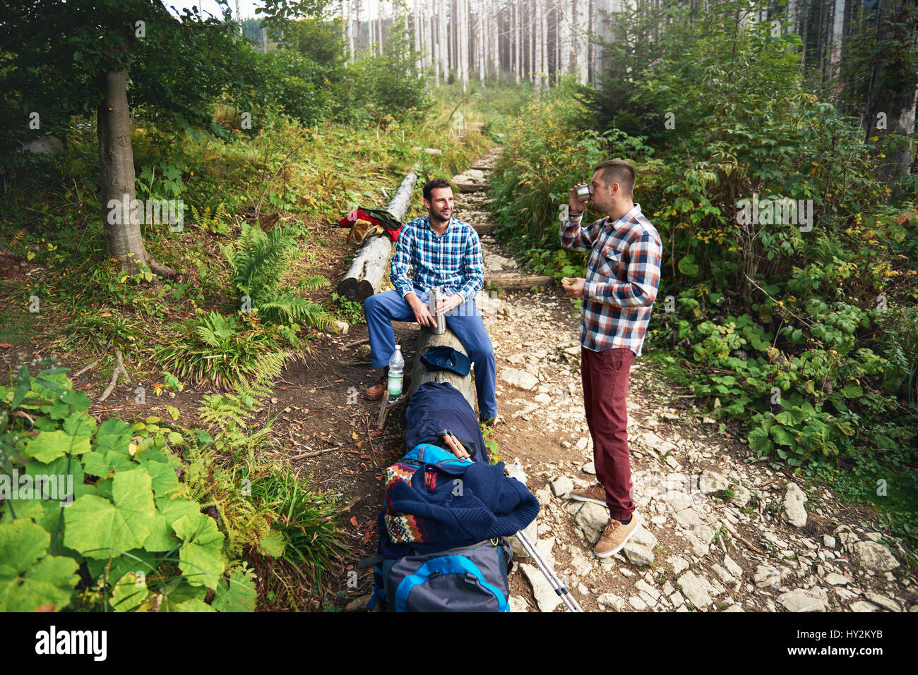 Two hikers taking a break from trekking in the forest Stock Photo - Alamy