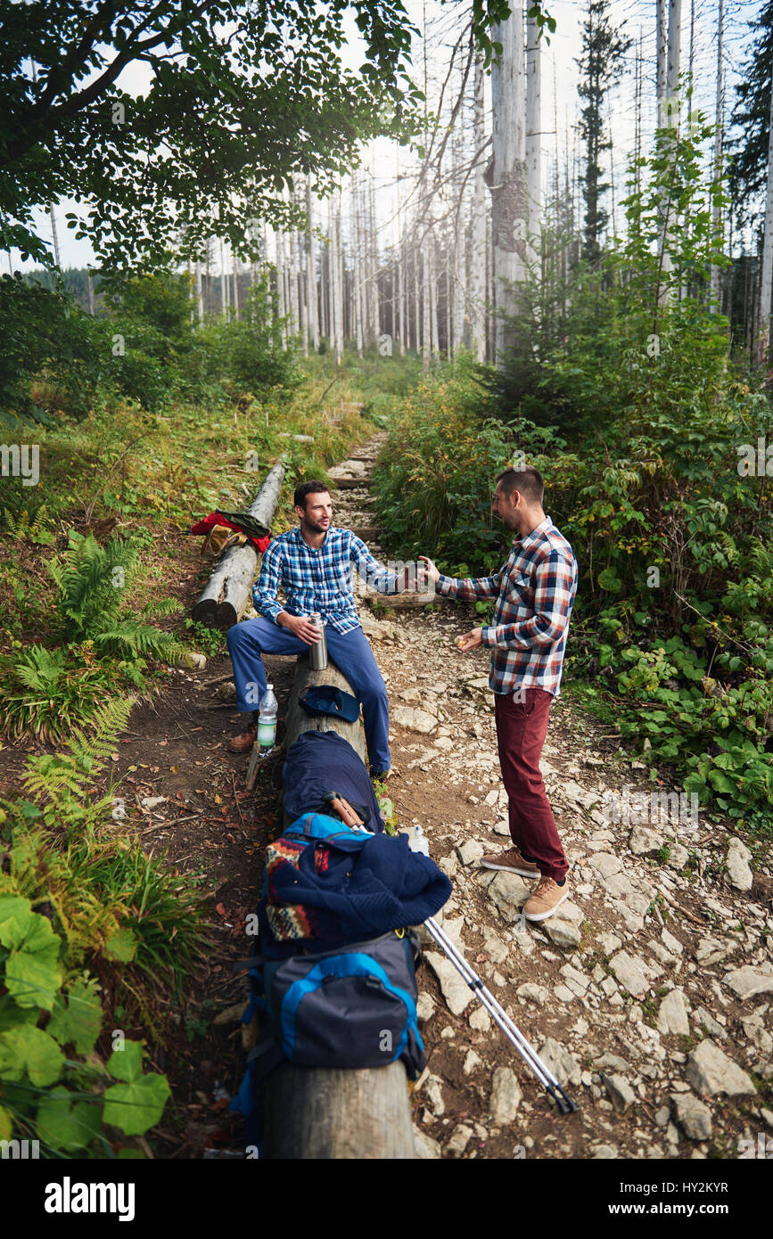 Hikers resting during a hike in the forest Stock Photo - Alamy