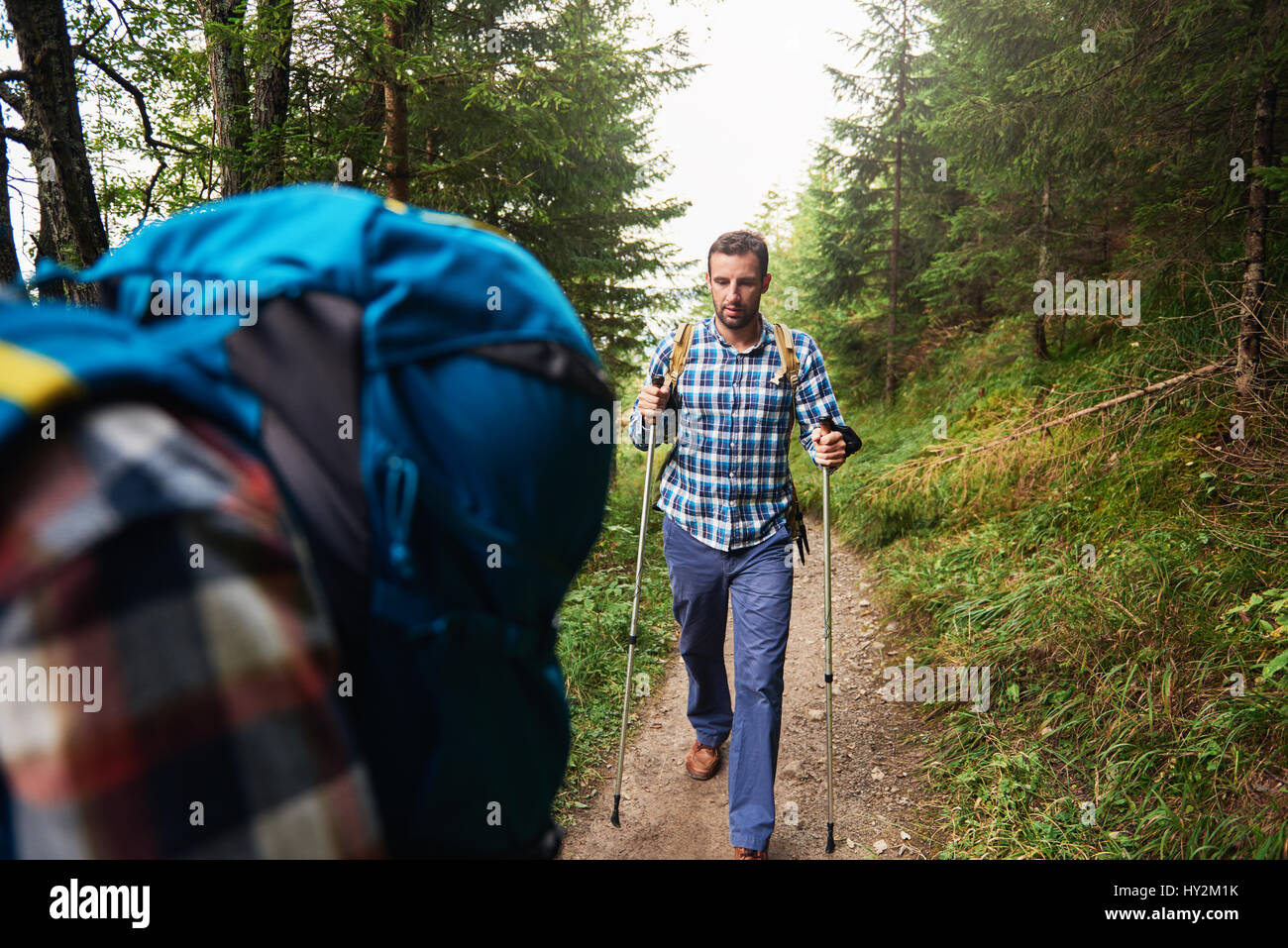 Hikers making their way along a forest trail Stock Photo - Alamy