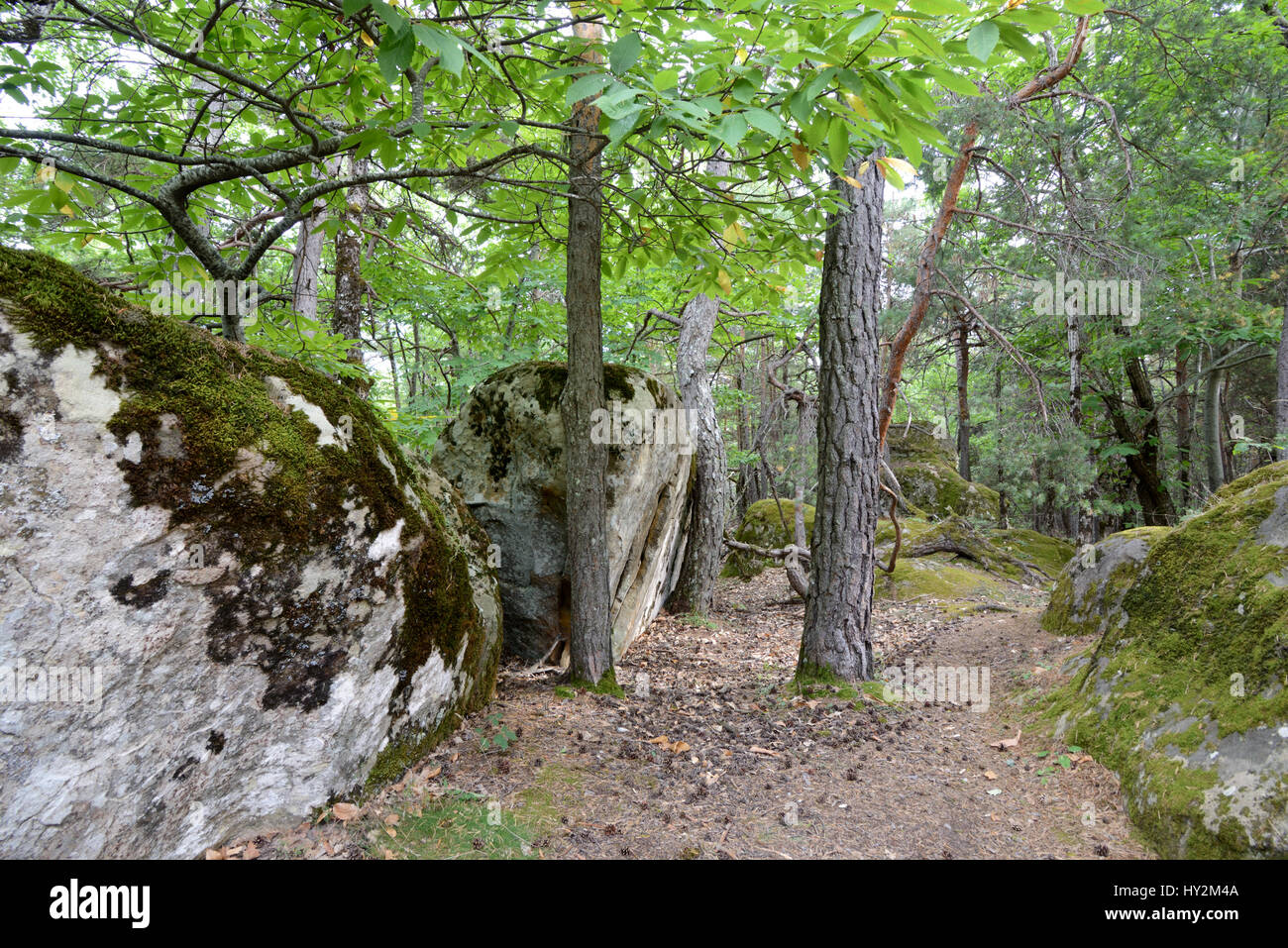 Annot France High Resolution Stock Photography and Images - Alamy