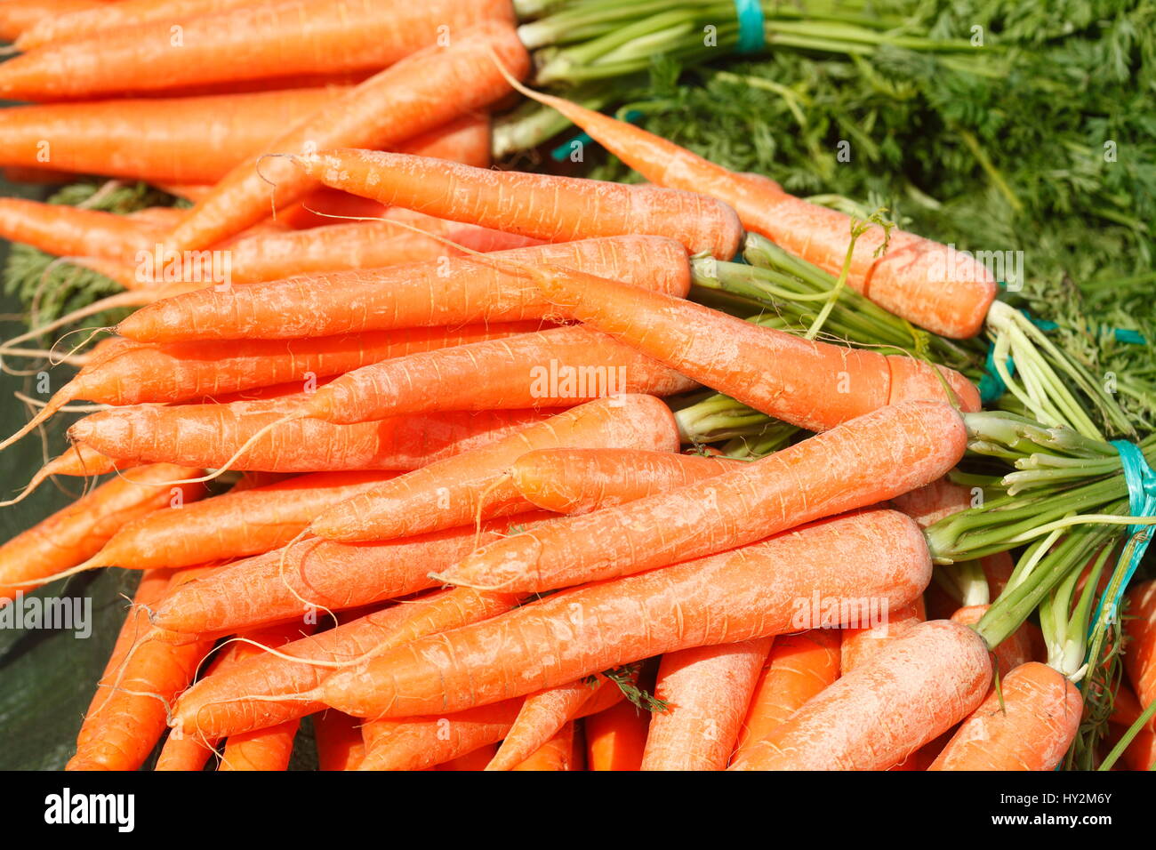 Bundle of Carrots Stock Photo - Alamy