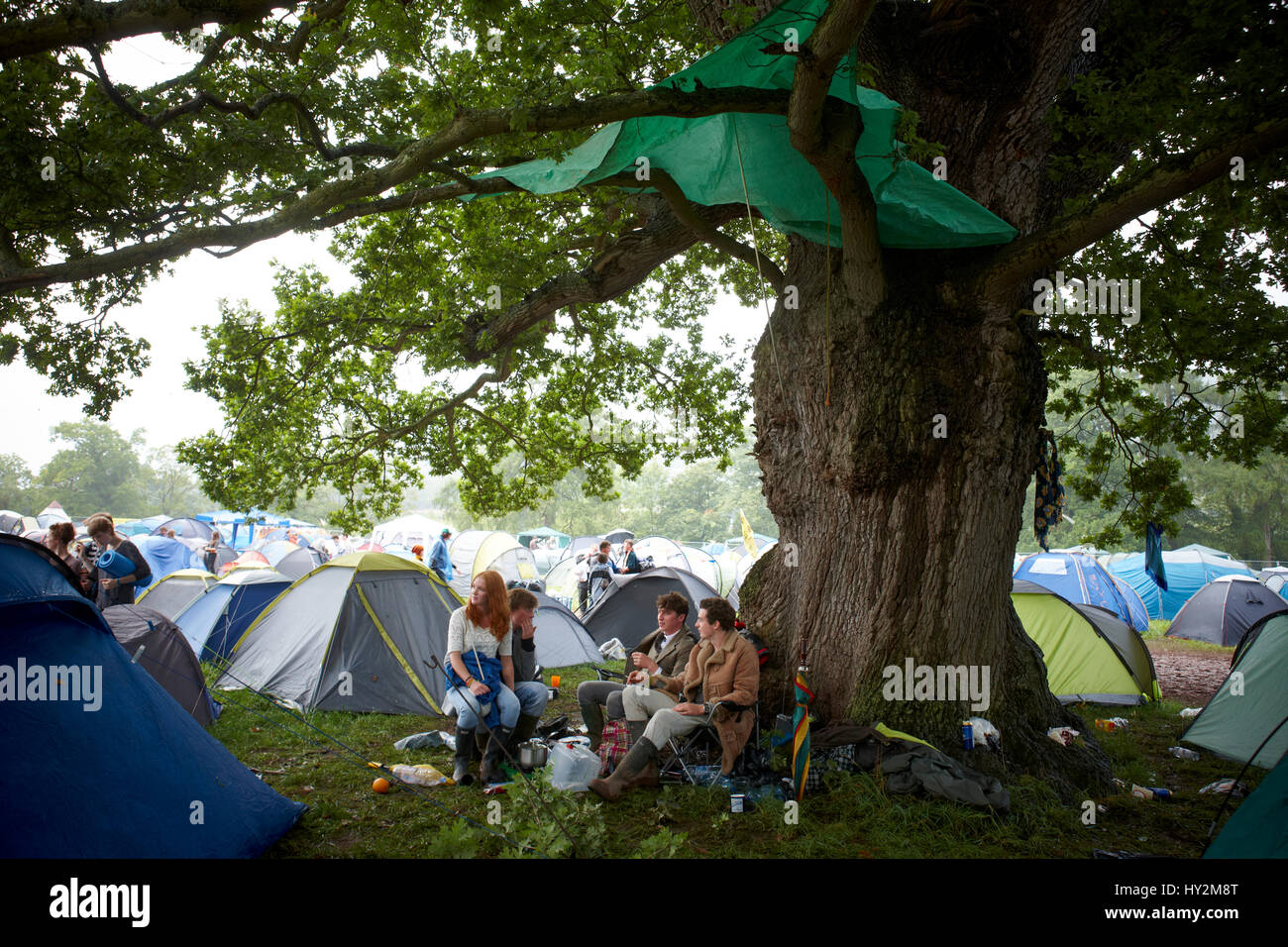 Group People Sitting Under Tree High Resolution Stock Photography and ...