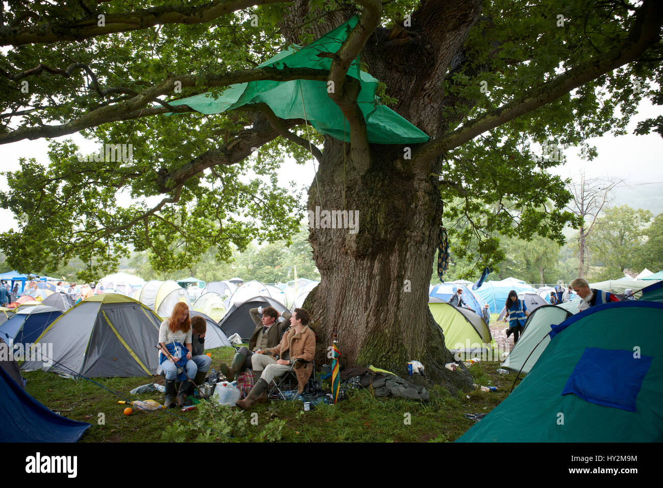 Group people sitting under tree hi-res stock photography and images - Alamy