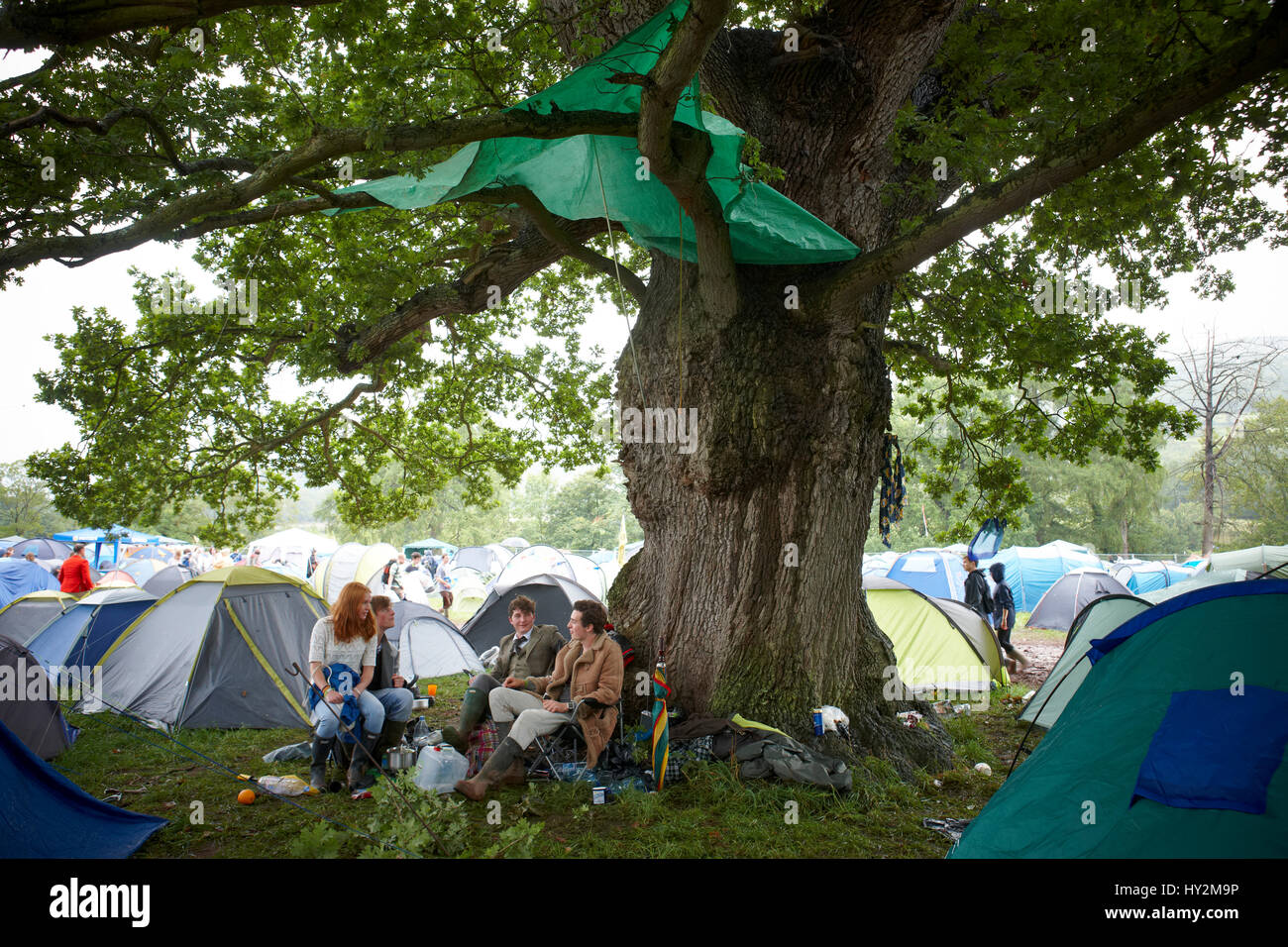 Group people sitting under tree hi-res stock photography and images - Alamy