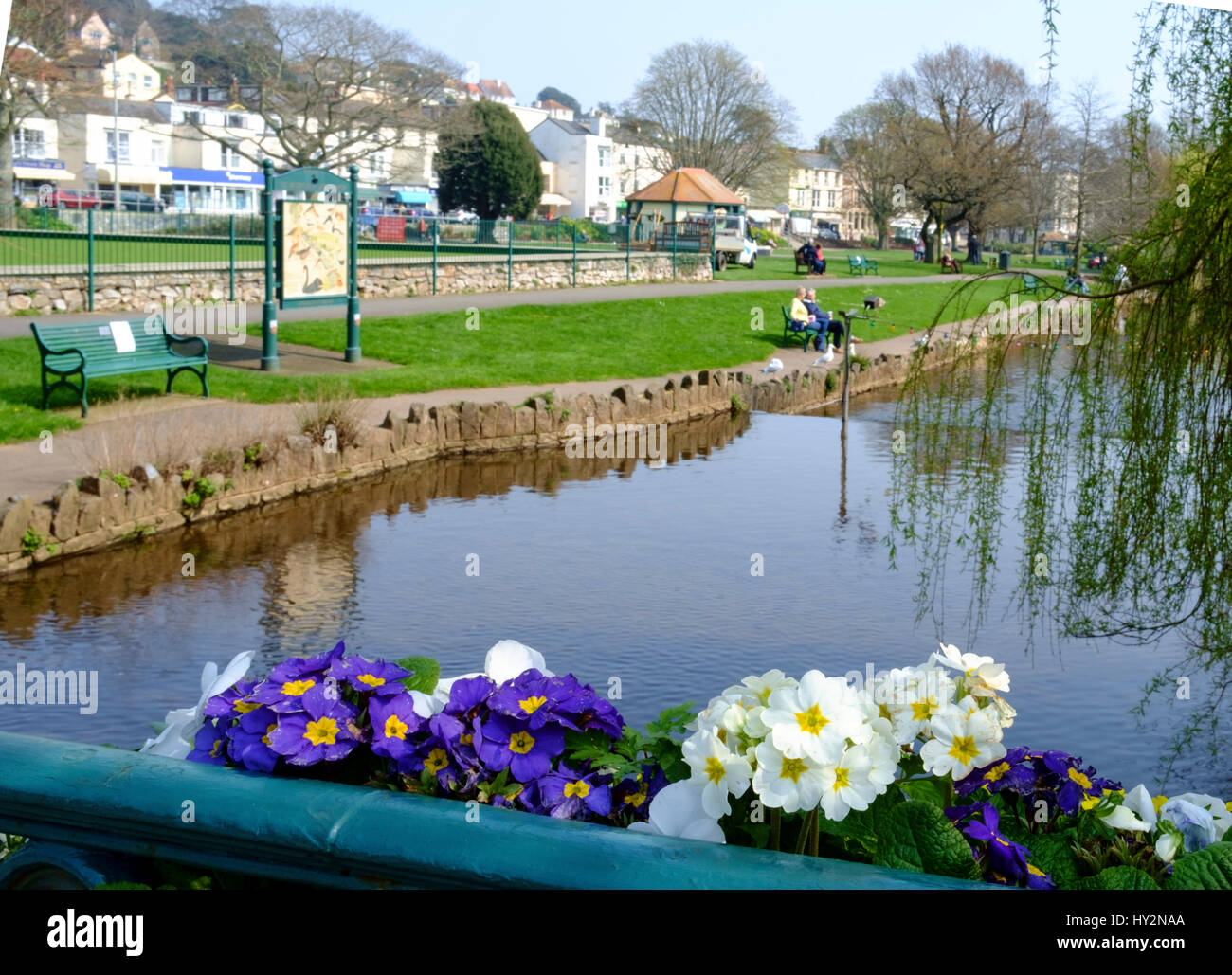 Dawlish devon coastal town hi-res stock photography and images - Alamy