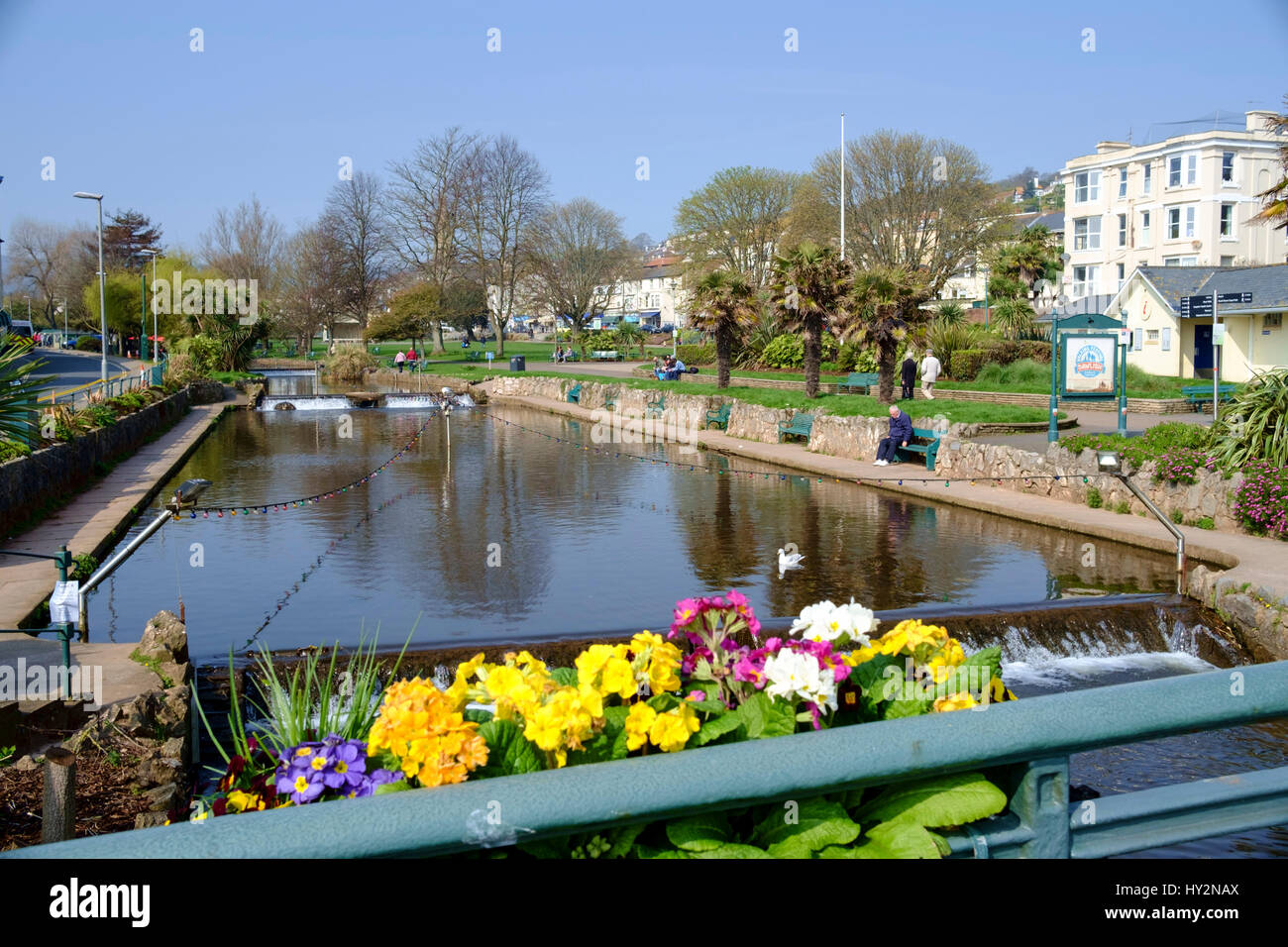 Dawlish a seaside town in South Devon England UK Stock Photo - Alamy