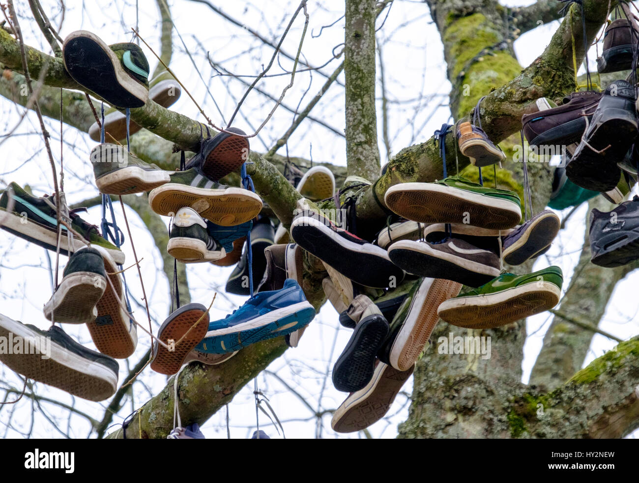 Dangling shoes hi-res stock photography and images - Alamy
