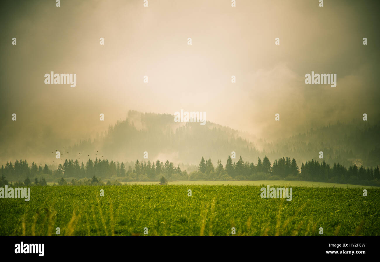 A beautiful, colorful, abstract mountain landscape with a hot summer ...