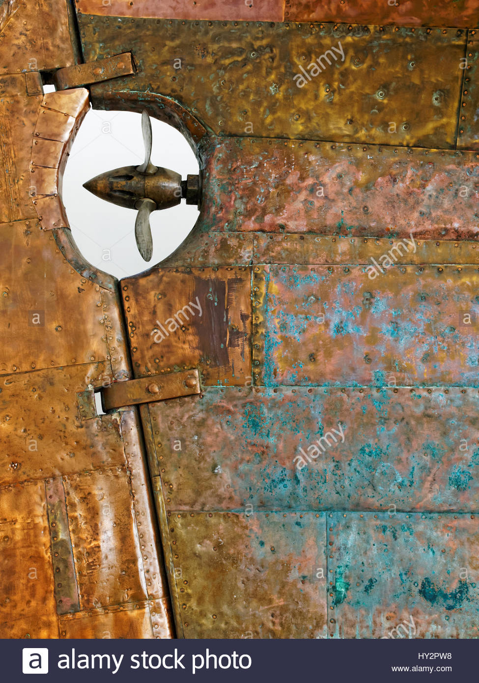 Beetle Bottom High Resolution Stock Photography and Images - Alamy