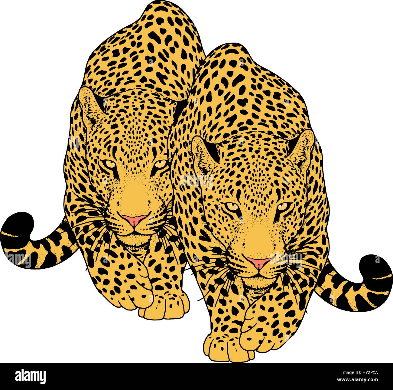 Leopard face tattoo ,Vector illustration, print Stock Vector Image ...