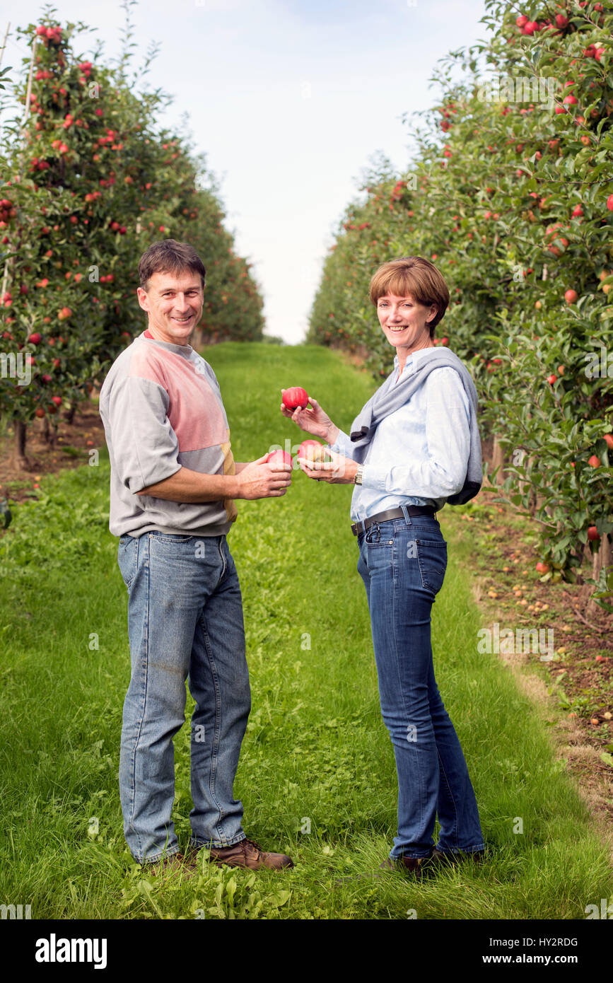 Polish apple picker hi-res stock photography and images - Alamy